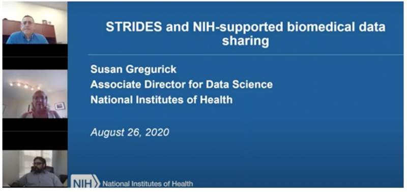 The Strides Initiative